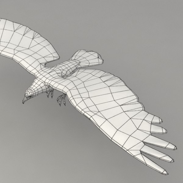 rigged flying eagle animation 3d model