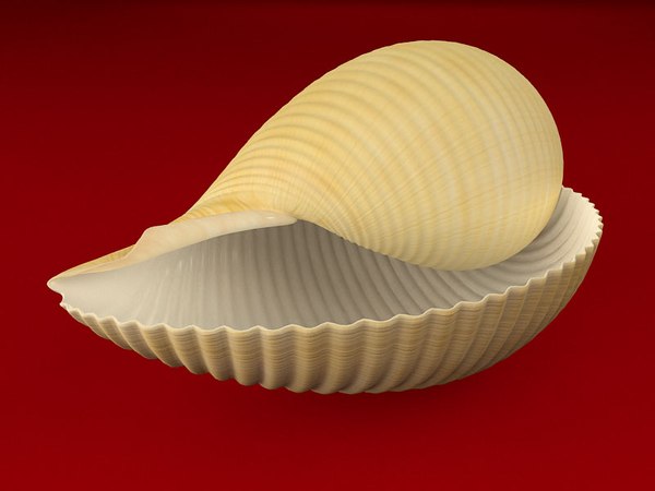 Tonna 3D Models for Download | TurboSquid