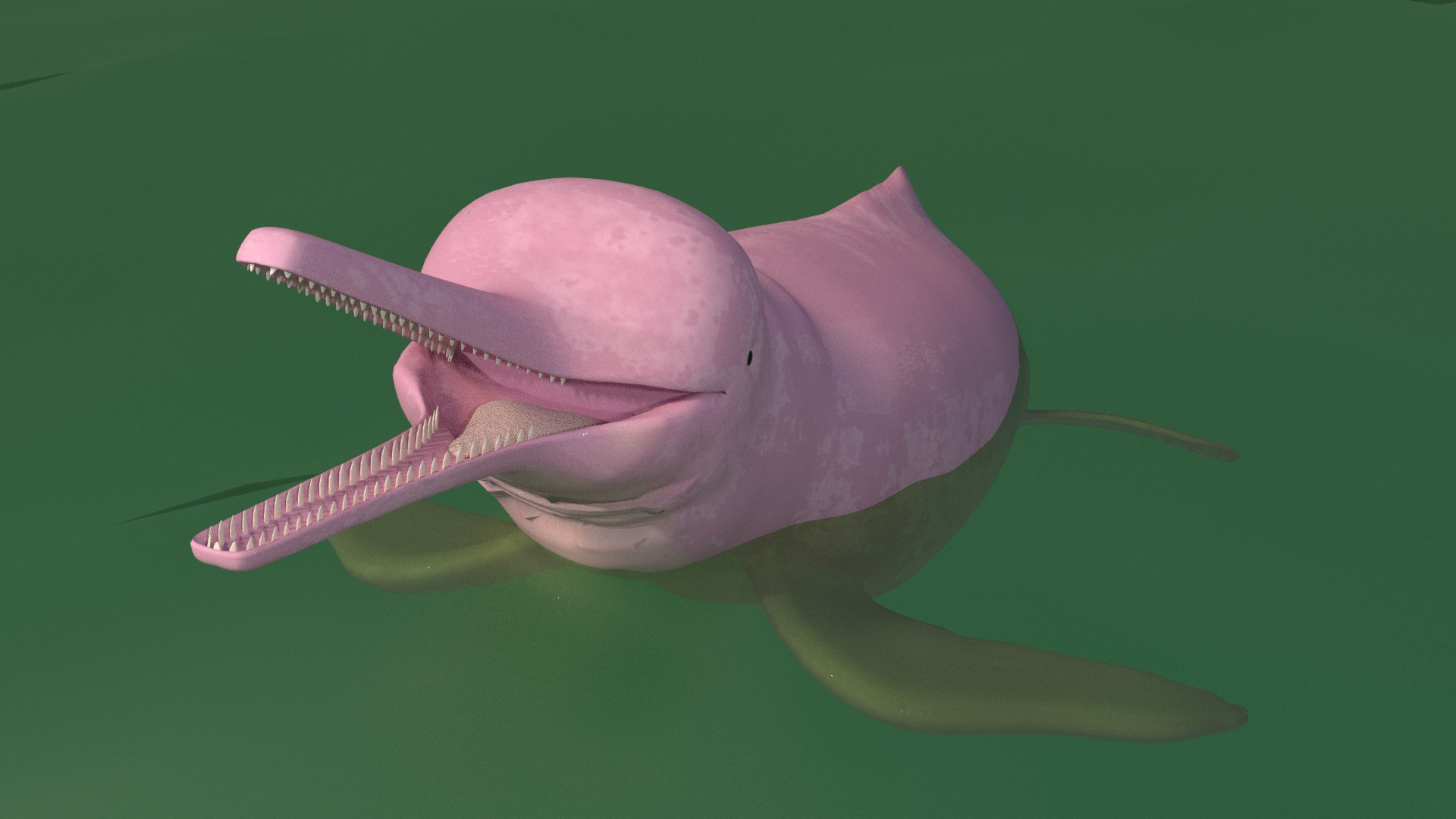 3d River Dolphins Botos Pink Model