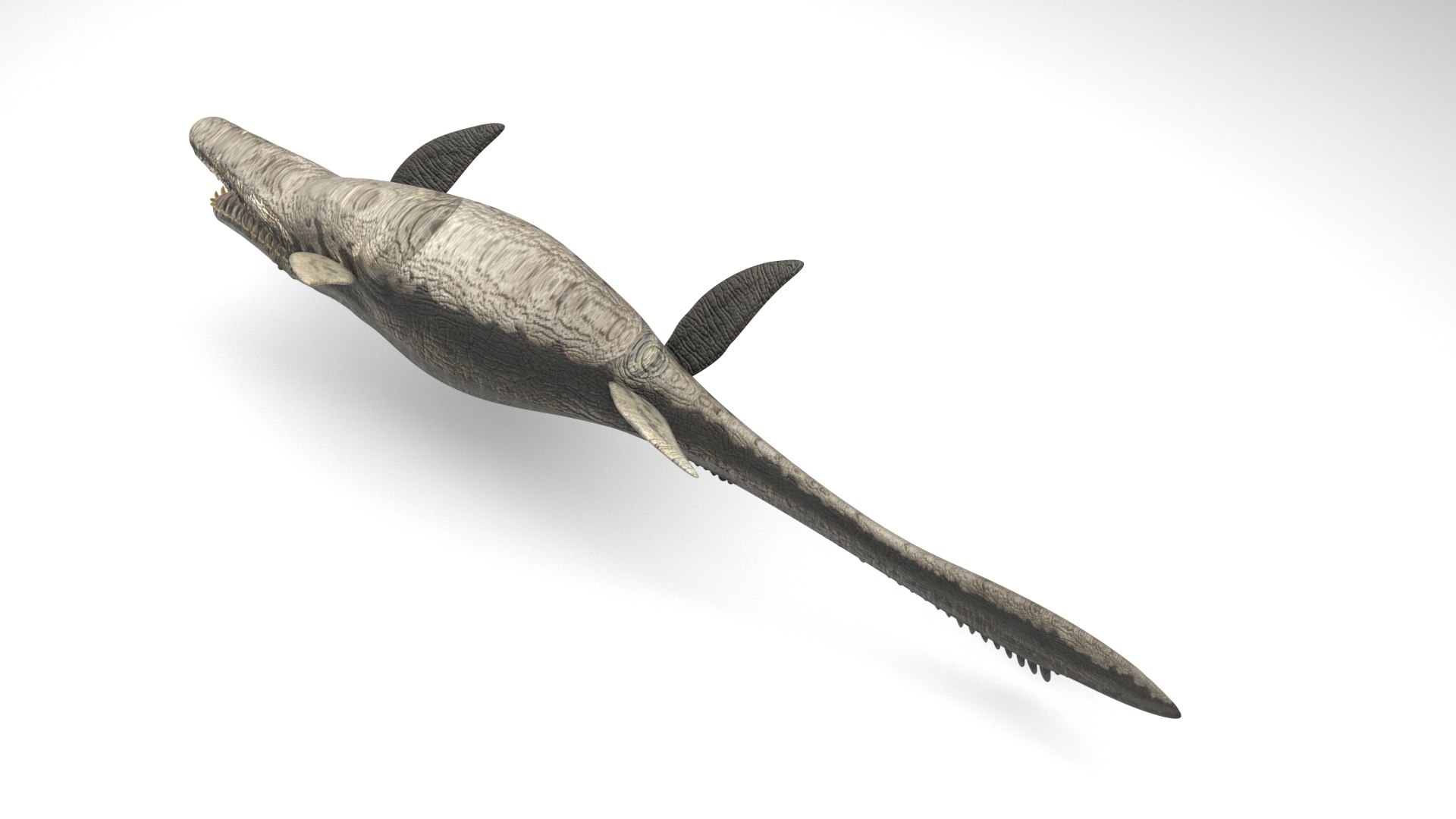 Mosasaurus 3D Model - TurboSquid 1925085