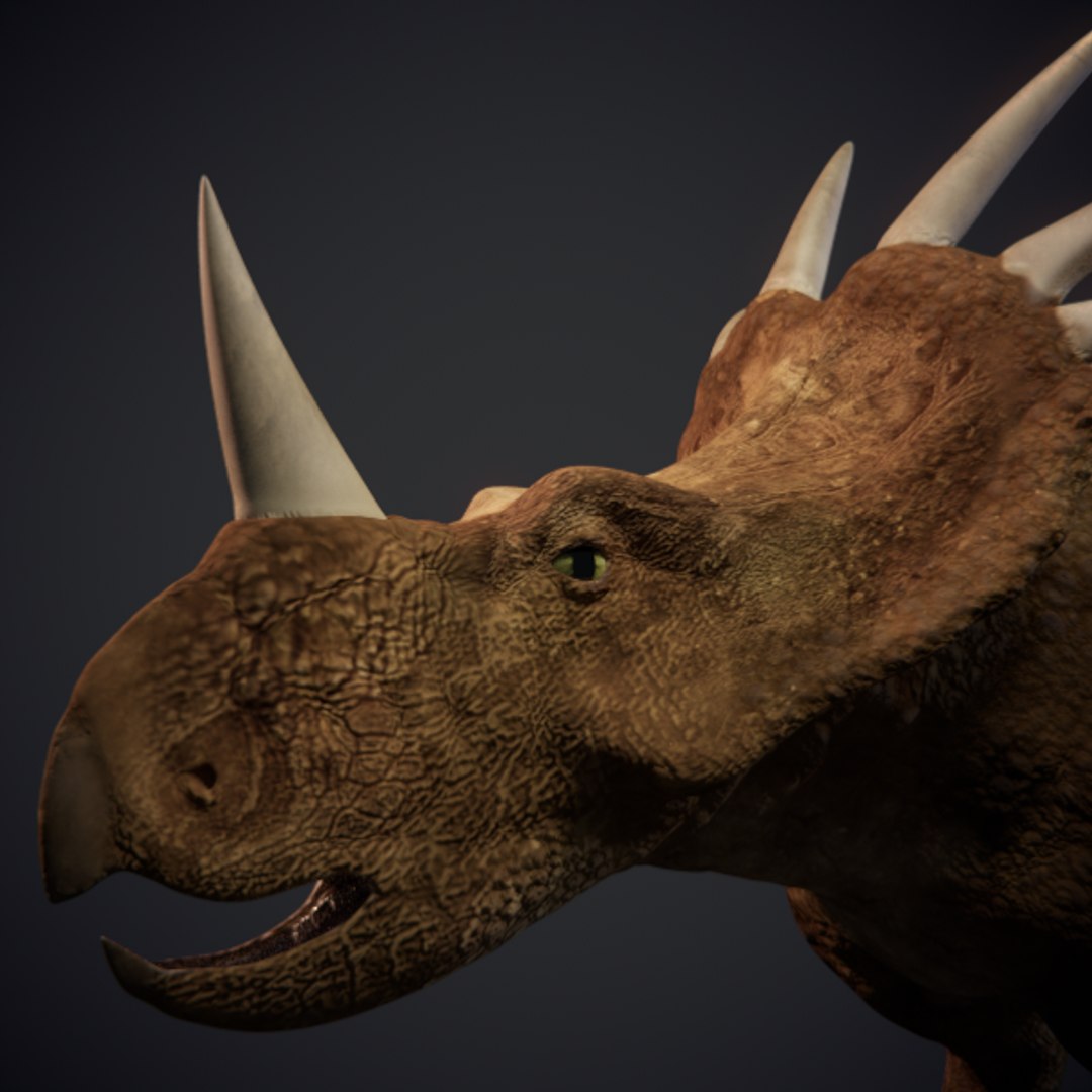 3d Model Styracosaurus