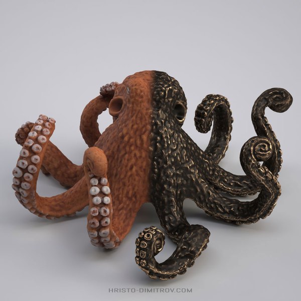 Octopus 3D Models for Download | TurboSquid