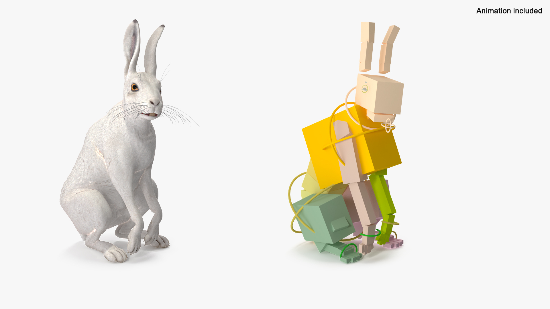 White Hare Animated 3D - TurboSquid 2258243