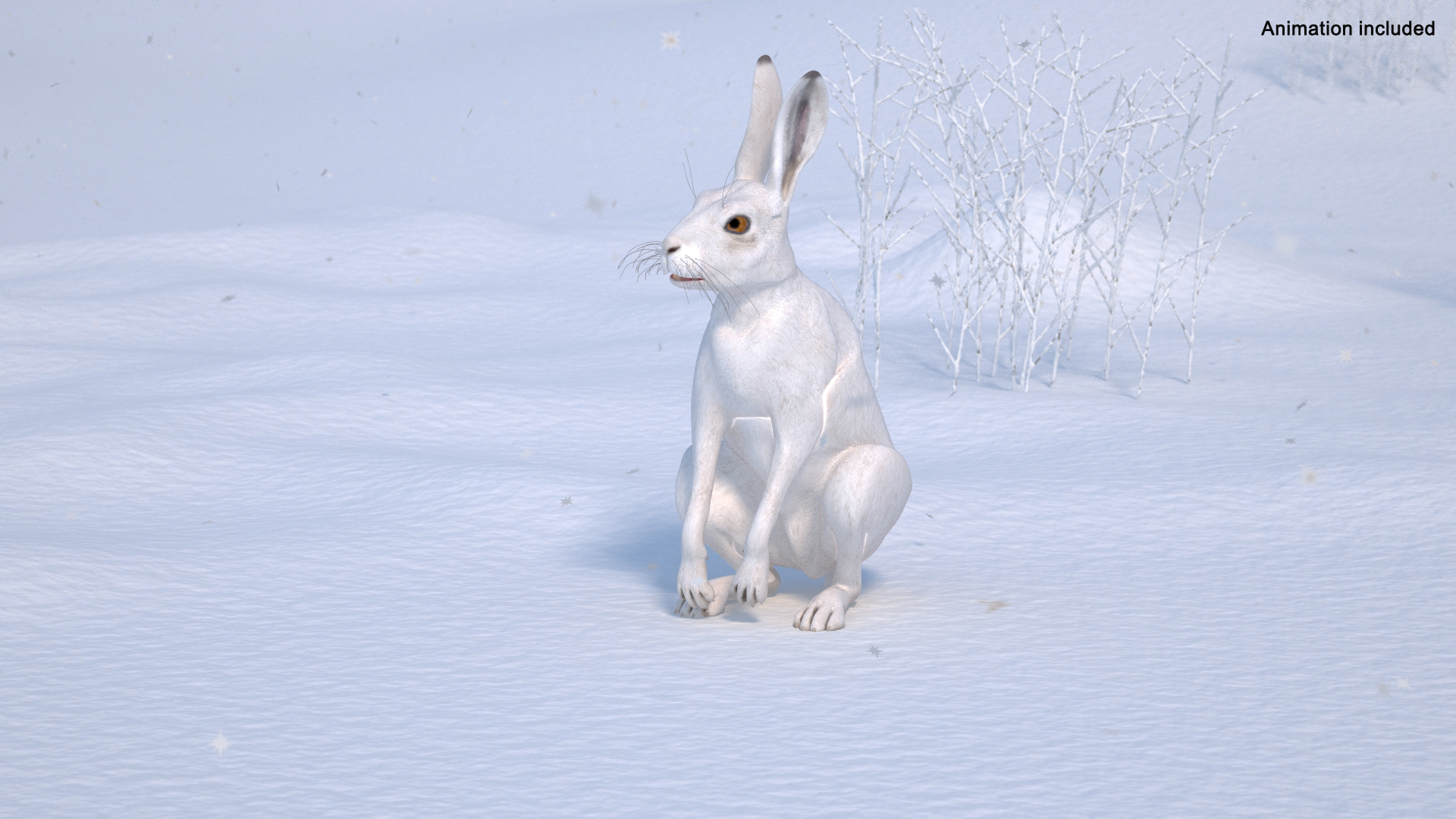 White Hare Animated 3D - TurboSquid 2258243