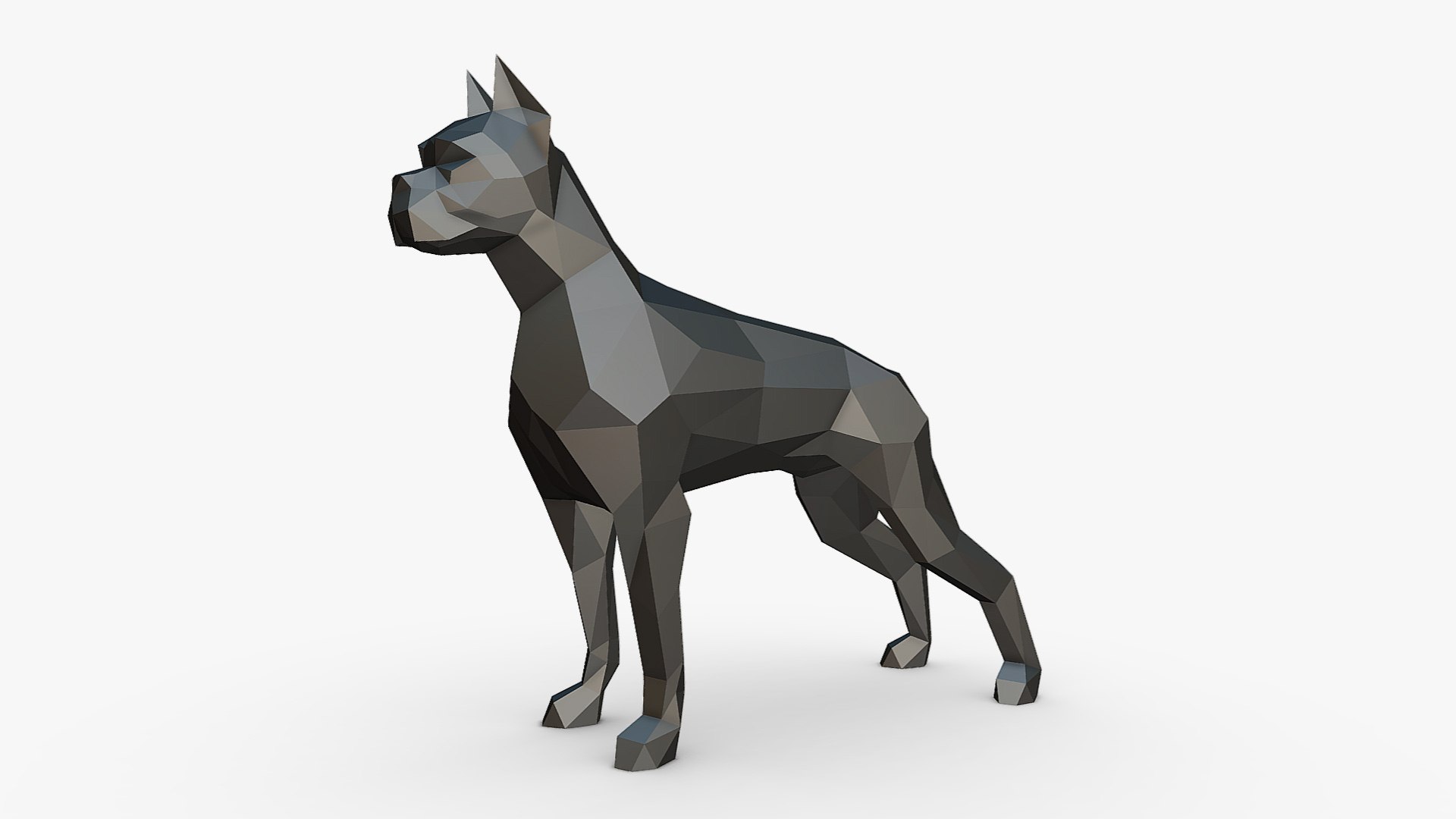 3D Boxer Dog Model - TurboSquid 1848413