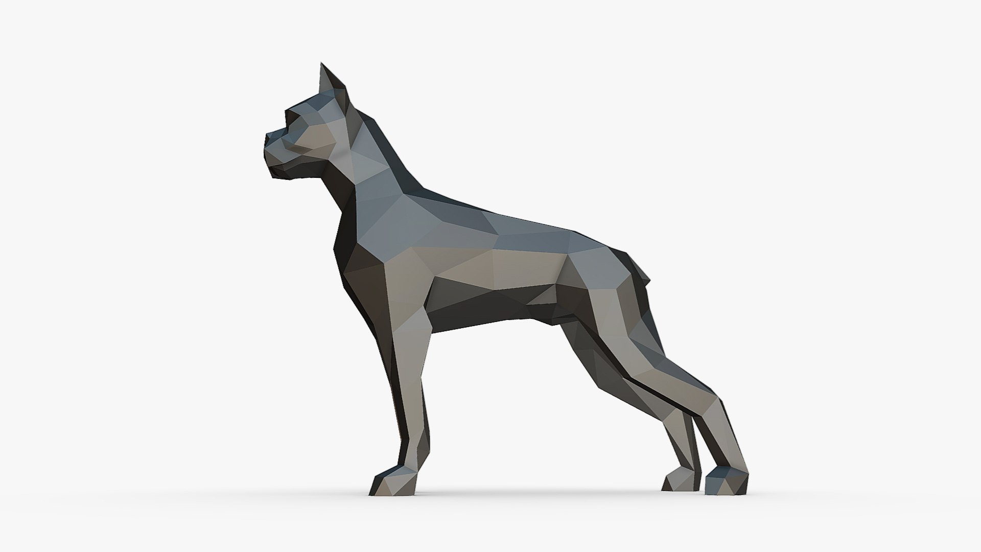 3D Boxer Dog Model - TurboSquid 1848413