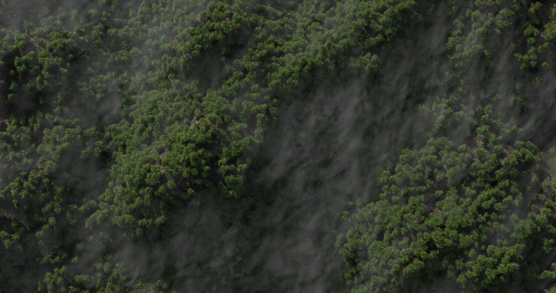Trees Forest 3D Model - TurboSquid 1582315