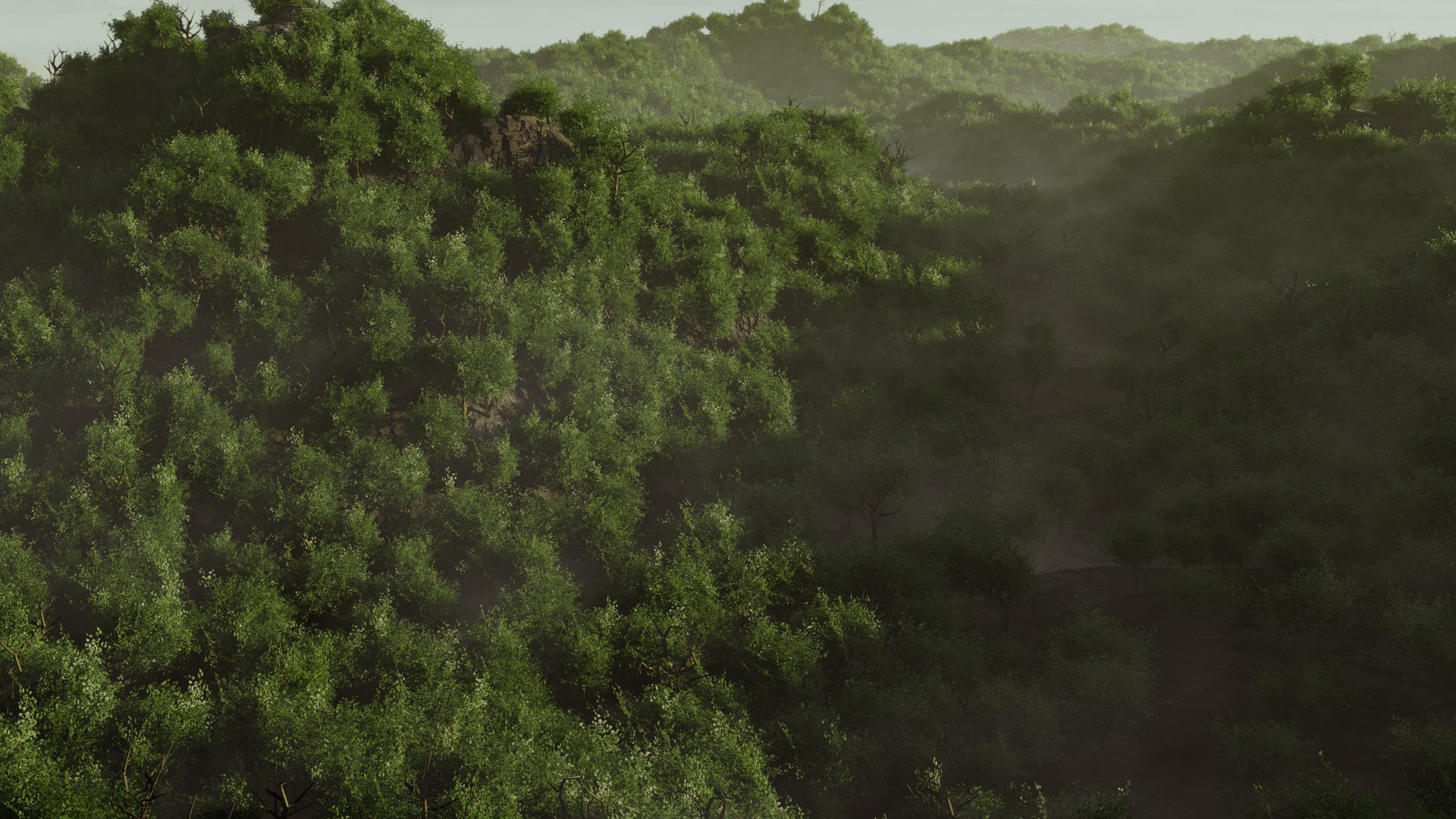 Trees Forest 3D Model - TurboSquid 1582315