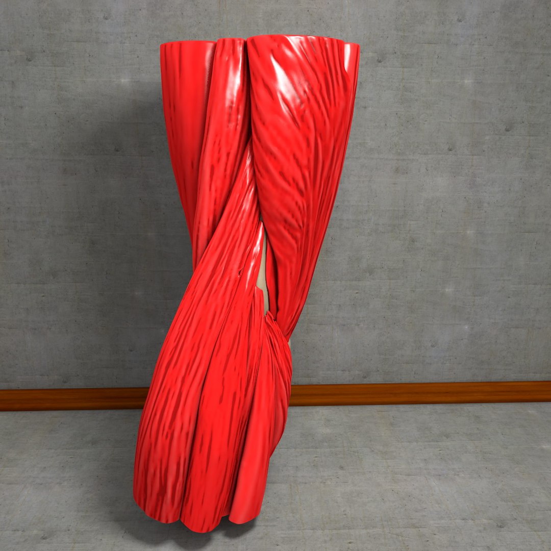 3d Model Human Elbow Joint