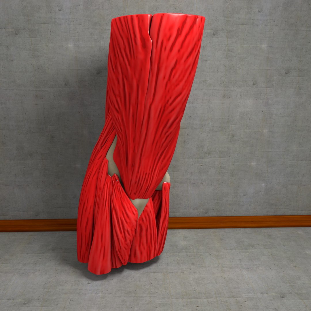 3d Model Human Elbow Joint