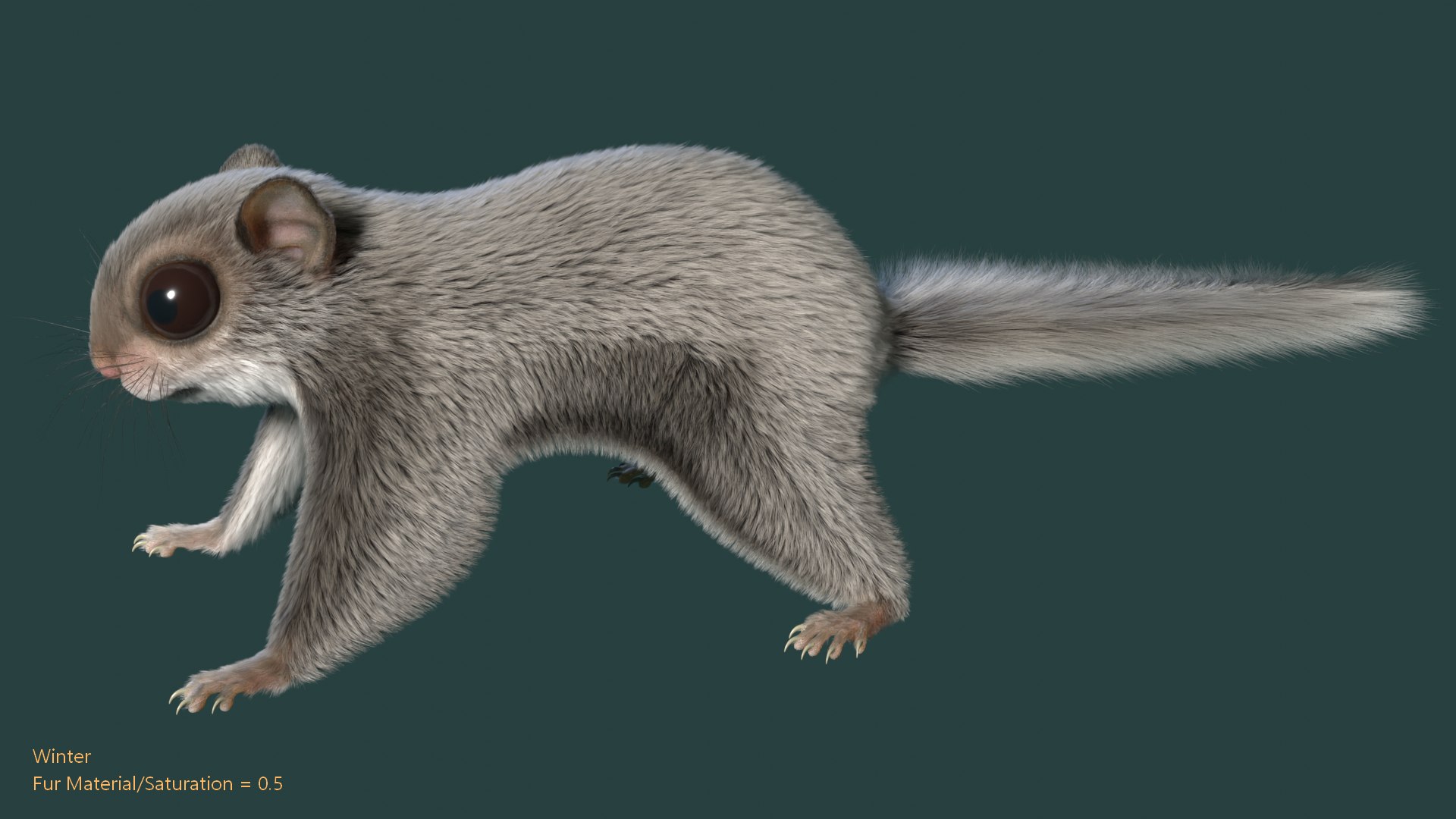 3D Flying Squirrel - TurboSquid 2272742