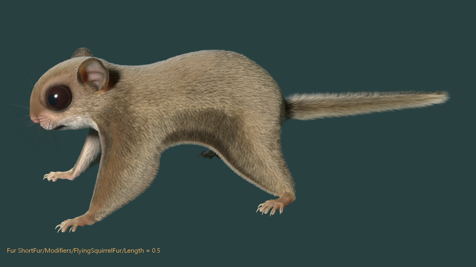 3D Flying Squirrel - TurboSquid 2272742