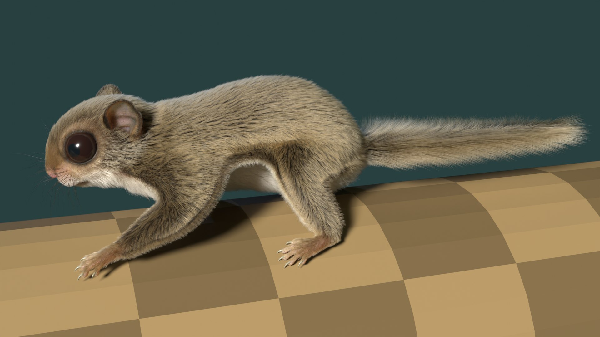 3D Flying Squirrel - TurboSquid 2272742