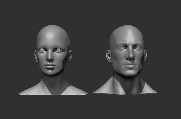 3D male female head model - TurboSquid 1683264