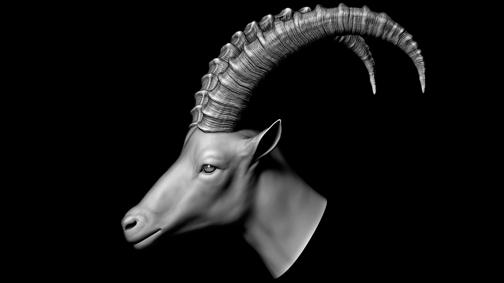 3D model goat head - TurboSquid 1460115