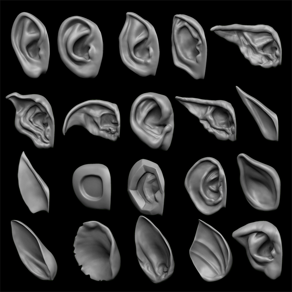 modelo 3d Orejas modelo 3D con alta poli y baja poli. - TurboSquid 1418760