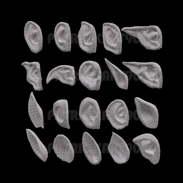 modelo 3d Orejas modelo 3D con alta poli y baja poli. - TurboSquid 1418760