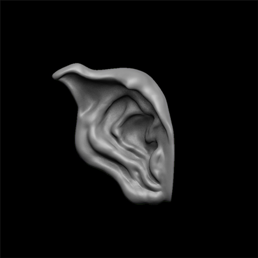 3D Ears Human Creature - TurboSquid 1418760
