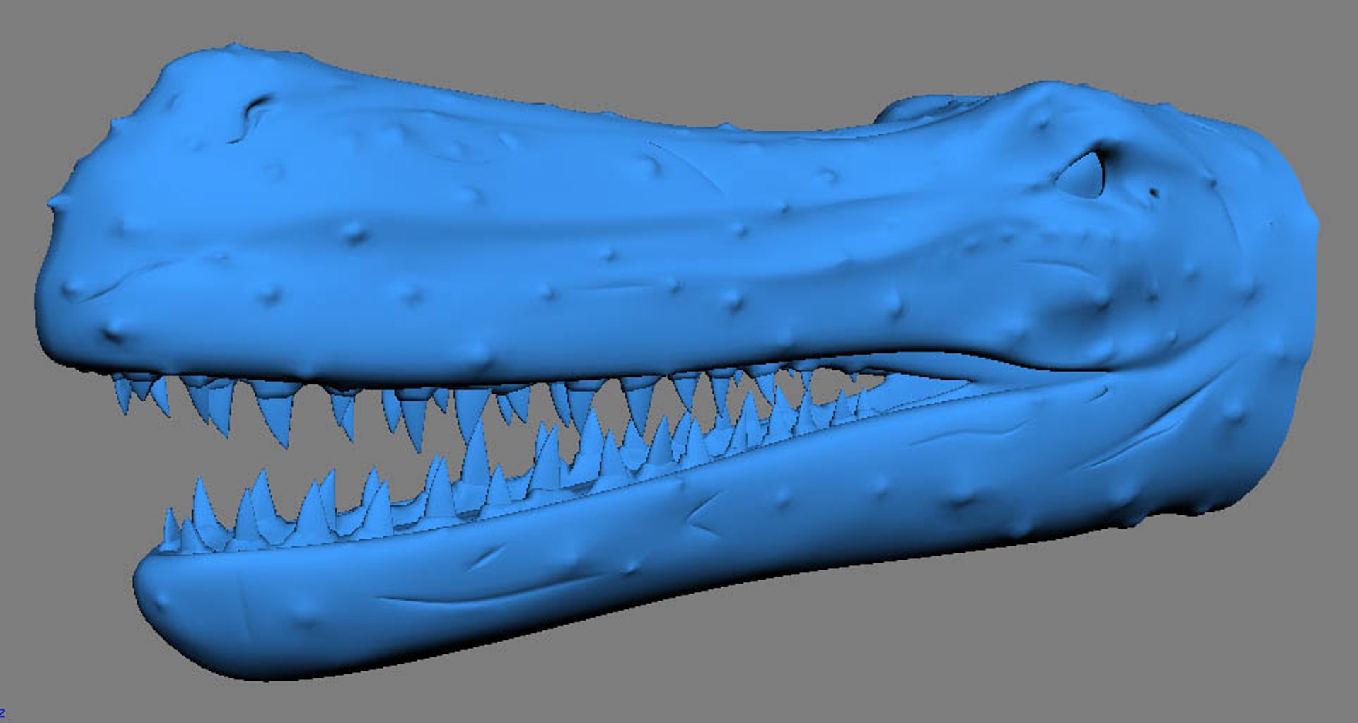Dinosaur Head 3d Model
