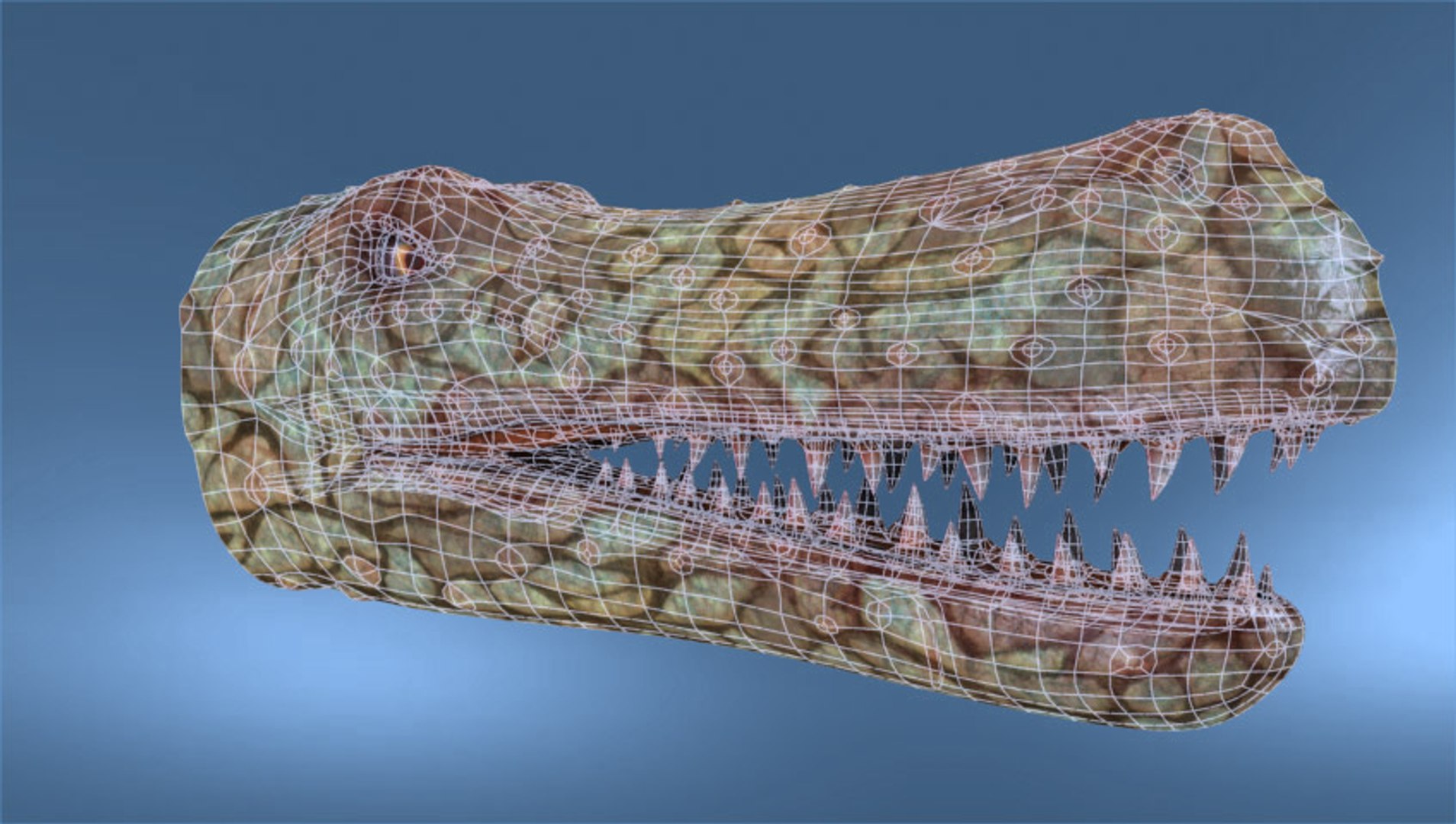 Dinosaur Head 3d Model