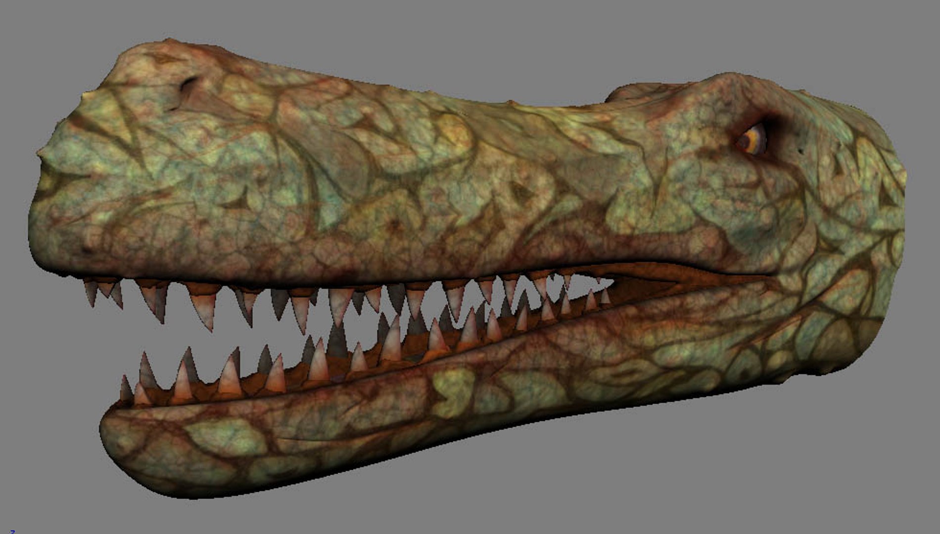 Dinosaur Head 3d Model