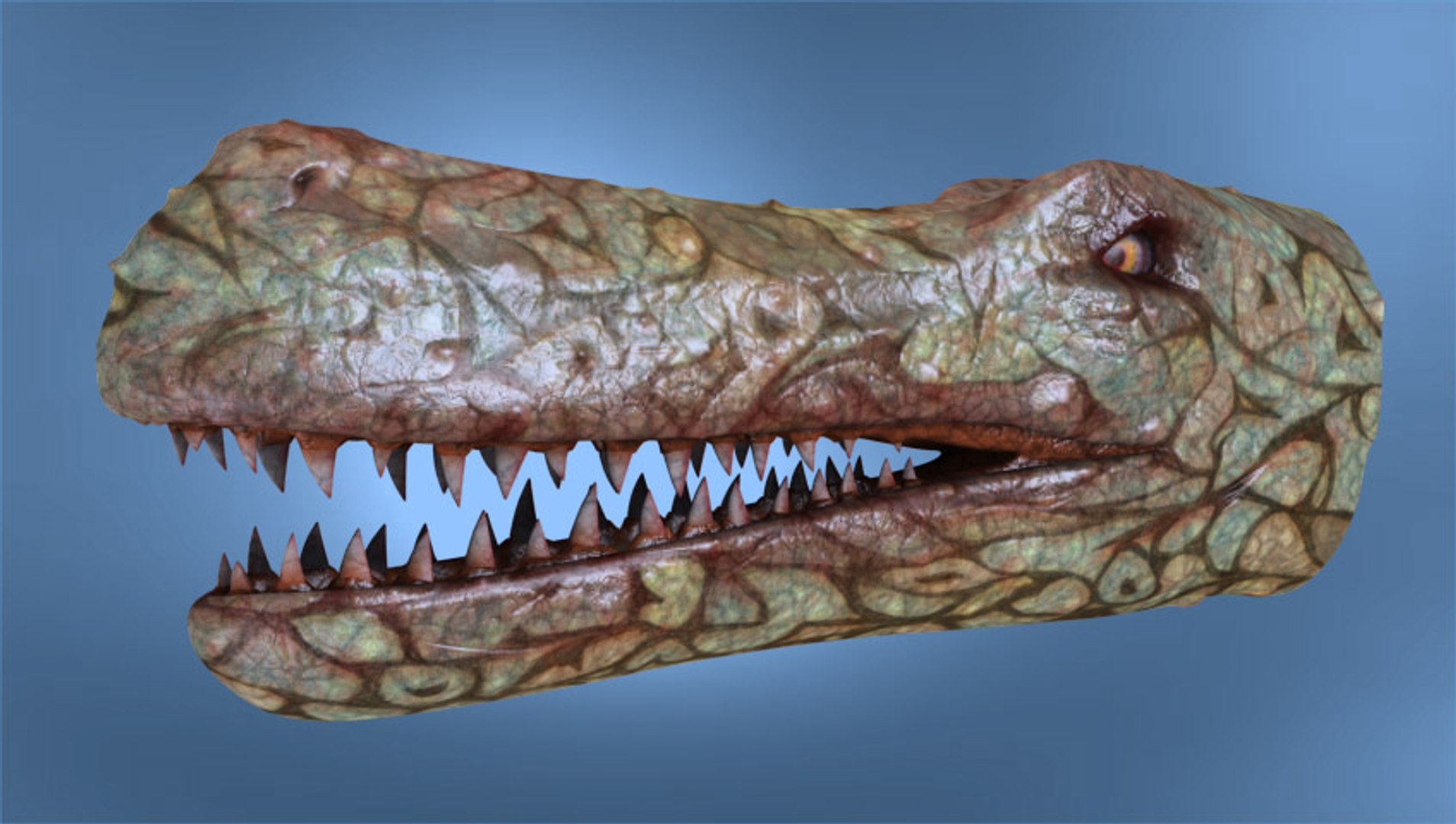 Dinosaur Head 3d Model