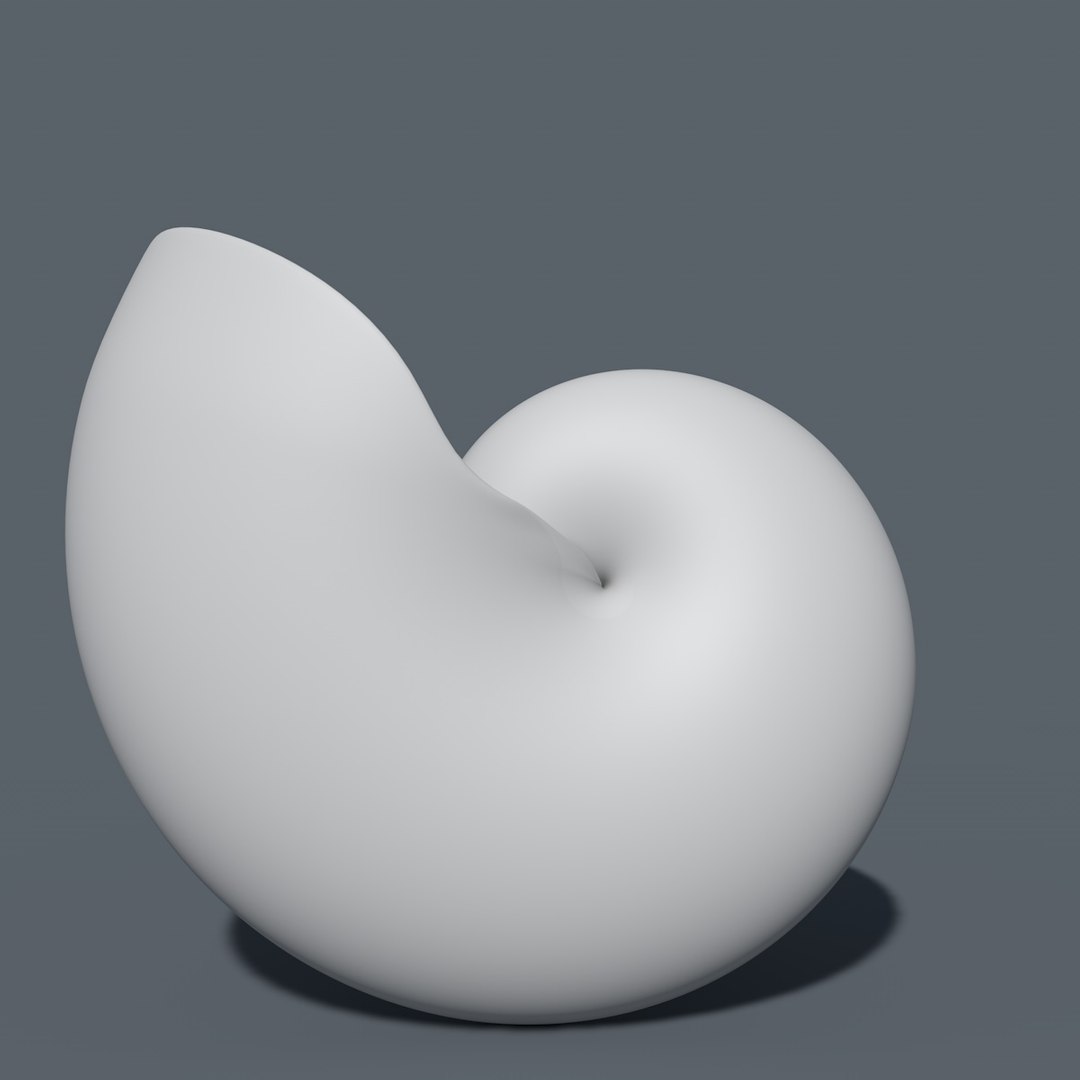 3d Nautilus Shell Cut