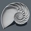 3d Nautilus Shell Cut