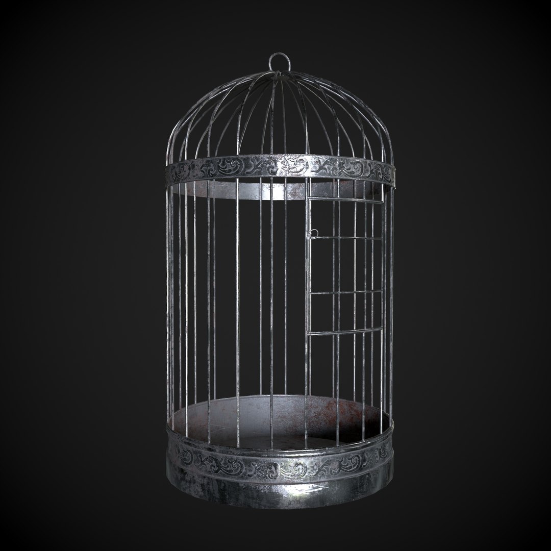 3D Bird Cage Model - TurboSquid 2140095