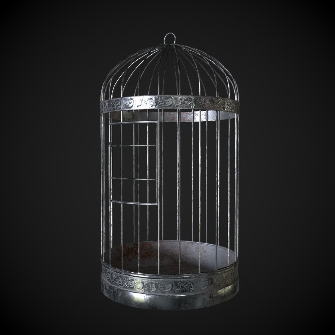 3D Bird Cage Model - TurboSquid 2140095