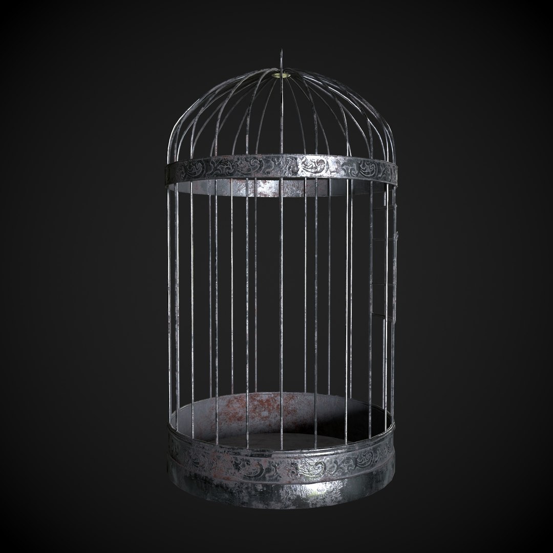 3D Bird Cage Model - TurboSquid 2140095