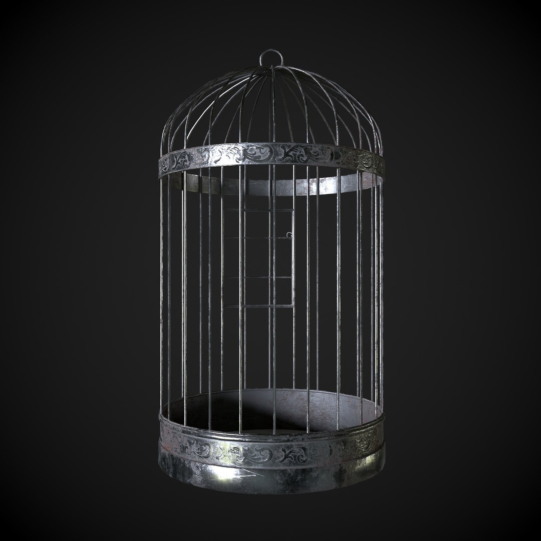 3D Bird Cage Model - TurboSquid 2140095