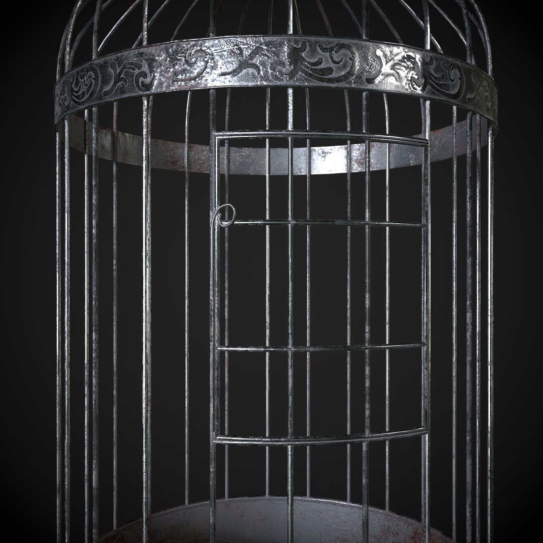 3D Bird Cage Model - TurboSquid 2140095