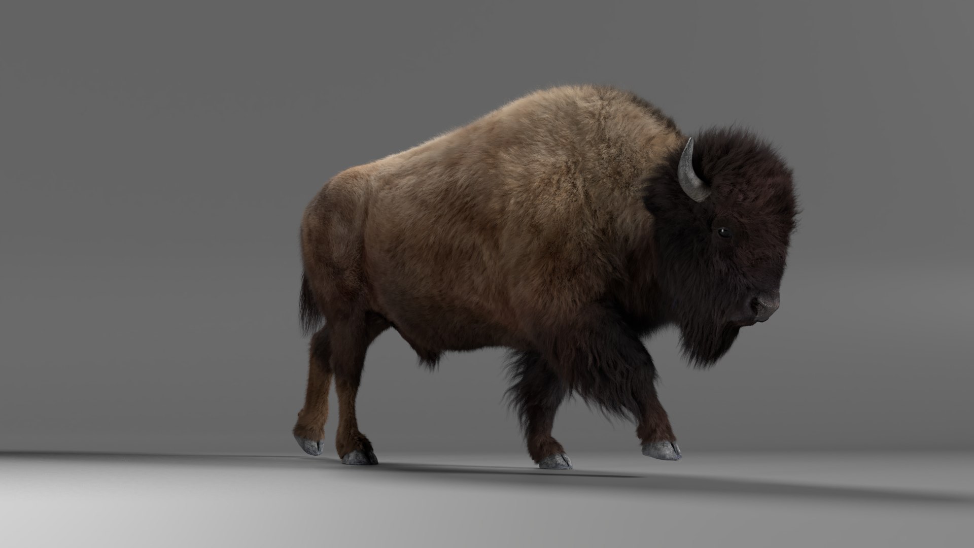 Bison Male 3D Model - TurboSquid 1626853