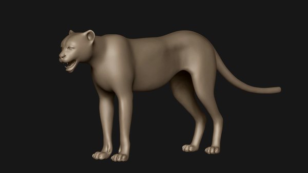 3D Cheetah Base Mesh 3D model model - TurboSquid 1863221