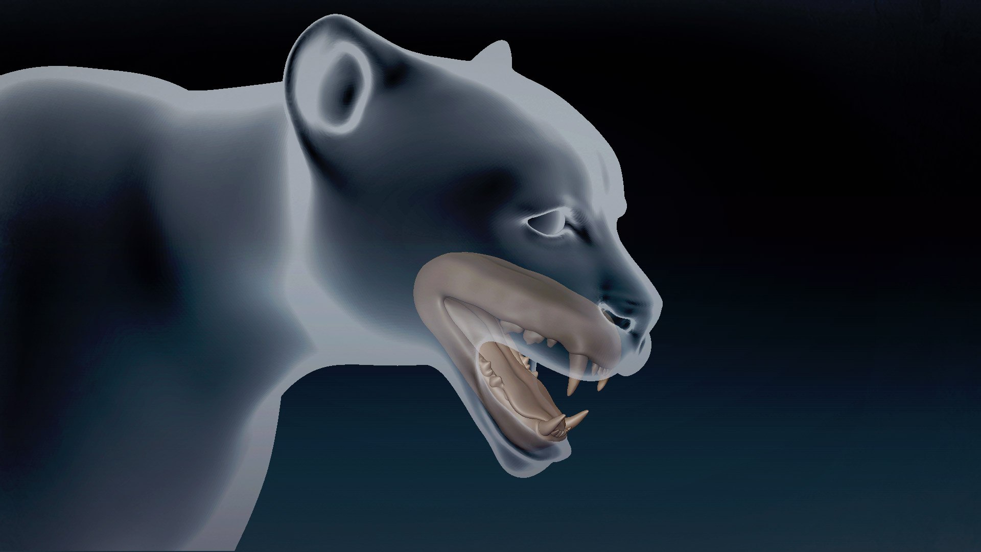 3D Cheetah Base Mesh 3D Model Model - TurboSquid 1863221