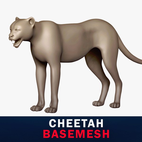 Cheetah Base Mesh 3D-Modell 3D-Modell - TurboSquid 1863221