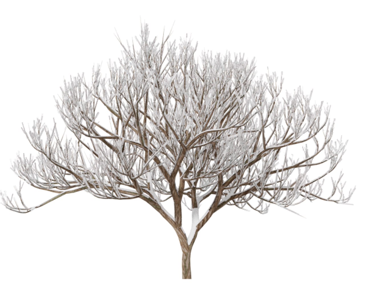 3D Snow-covered Tree - TurboSquid 1189163