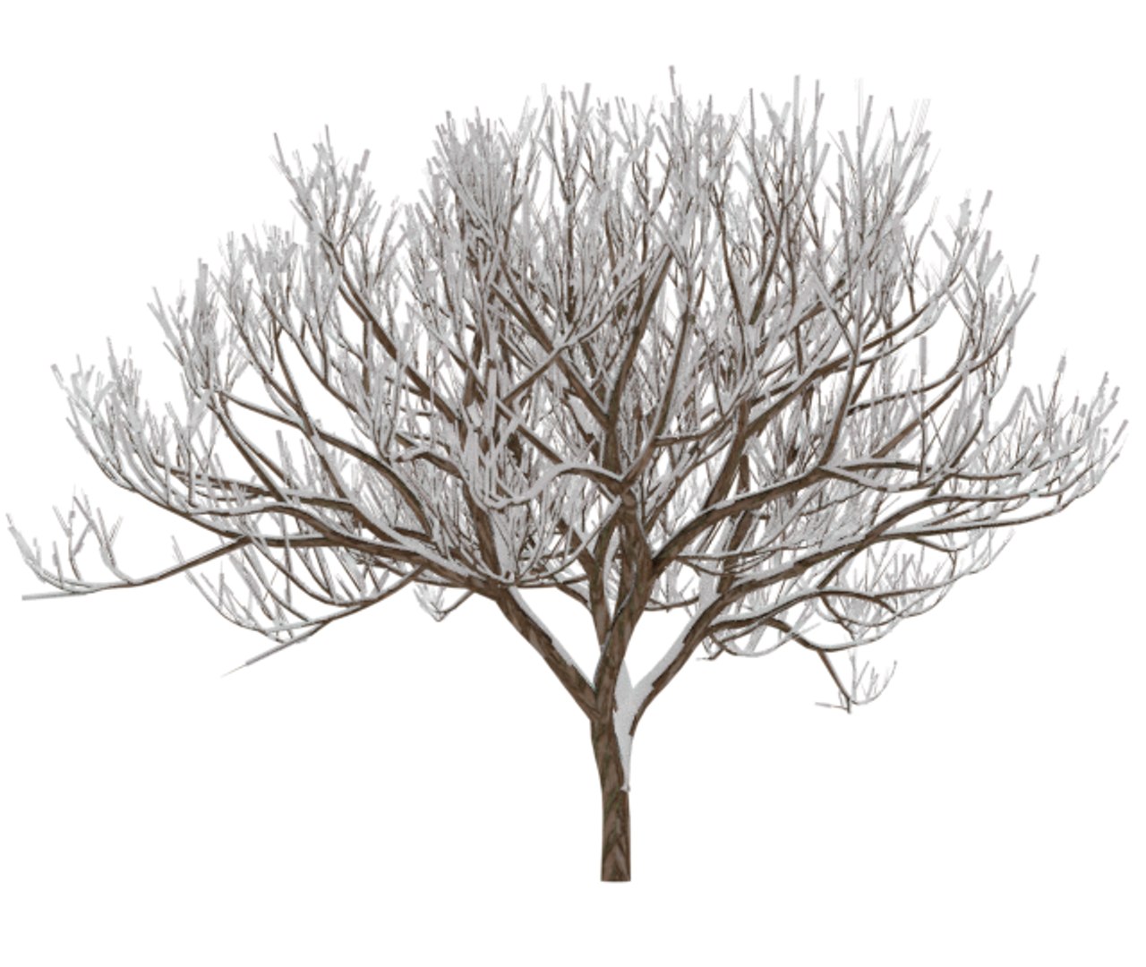 3D Snow-covered Tree - TurboSquid 1189163