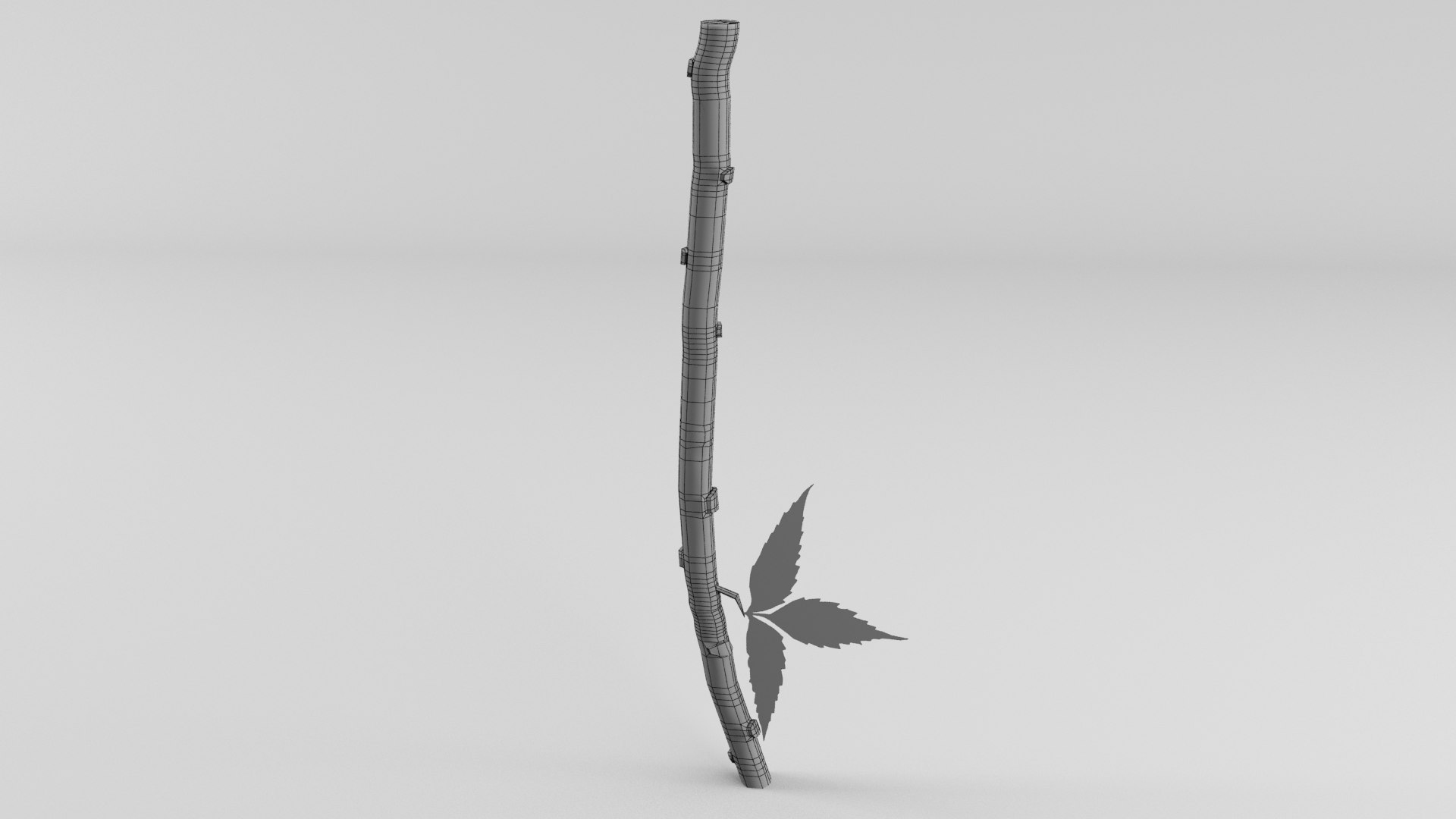 Free Neem Twig 3d Model