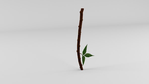 free neem twig 3d model