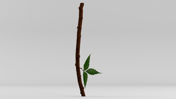 free neem twig 3d model