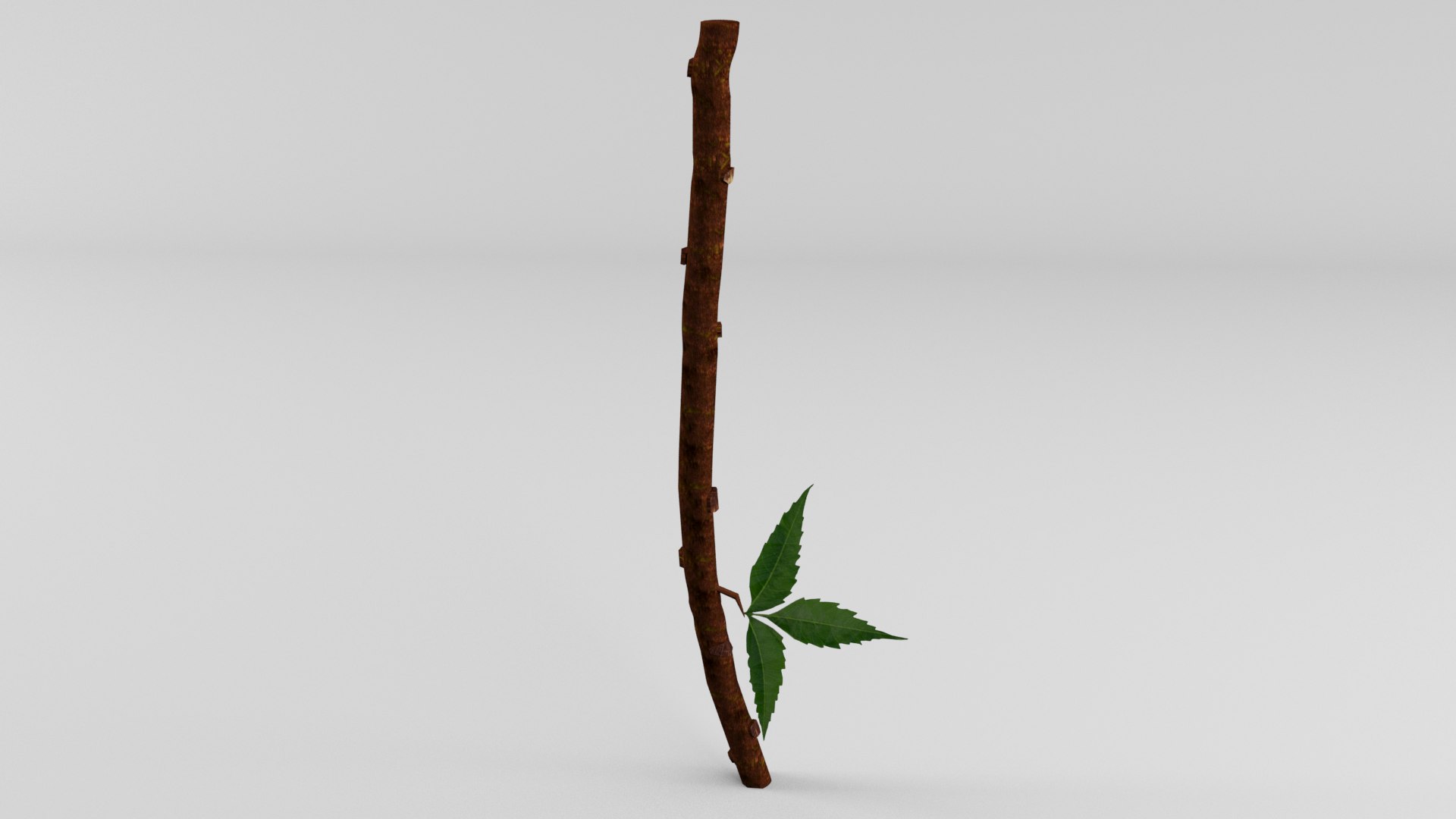 Free Neem Twig 3d Model