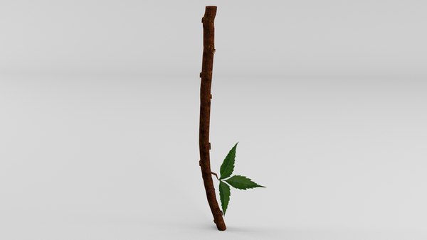 free neem twig 3d model