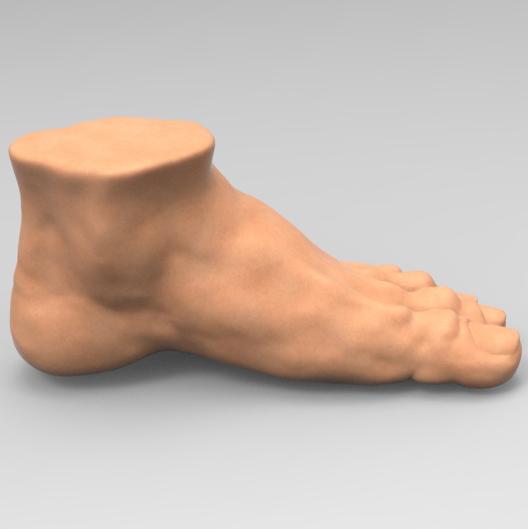Foot 3D Model - TurboSquid 1378356