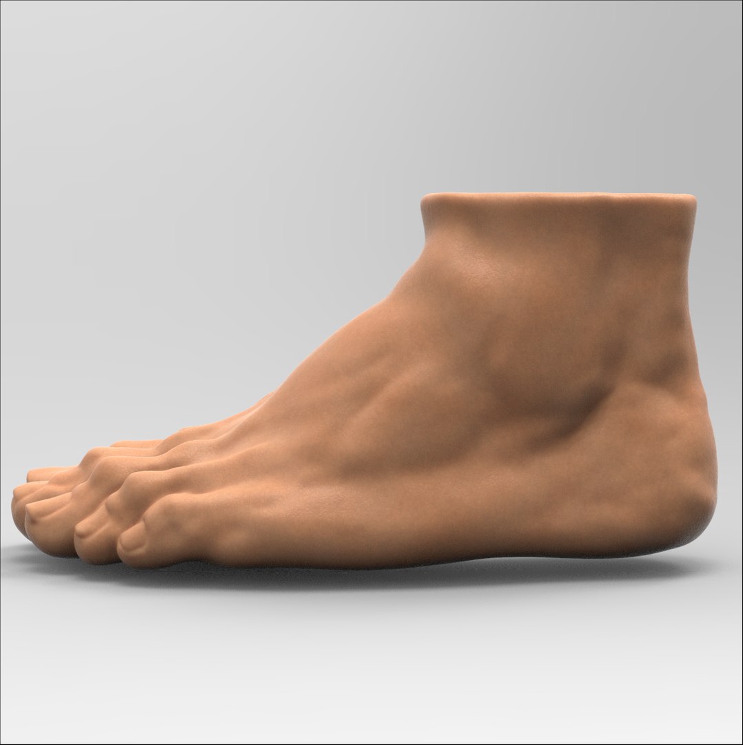 Foot 3D Model - TurboSquid 1378356