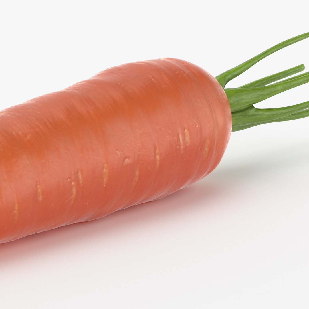 3d C4d Realistic Carrot Real