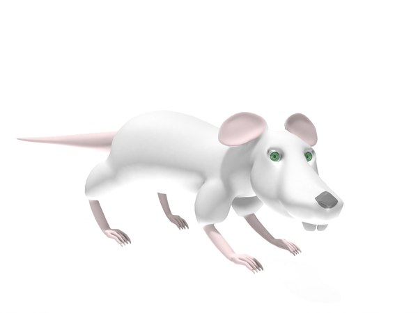 Rat DXF Models for Download | TurboSquid