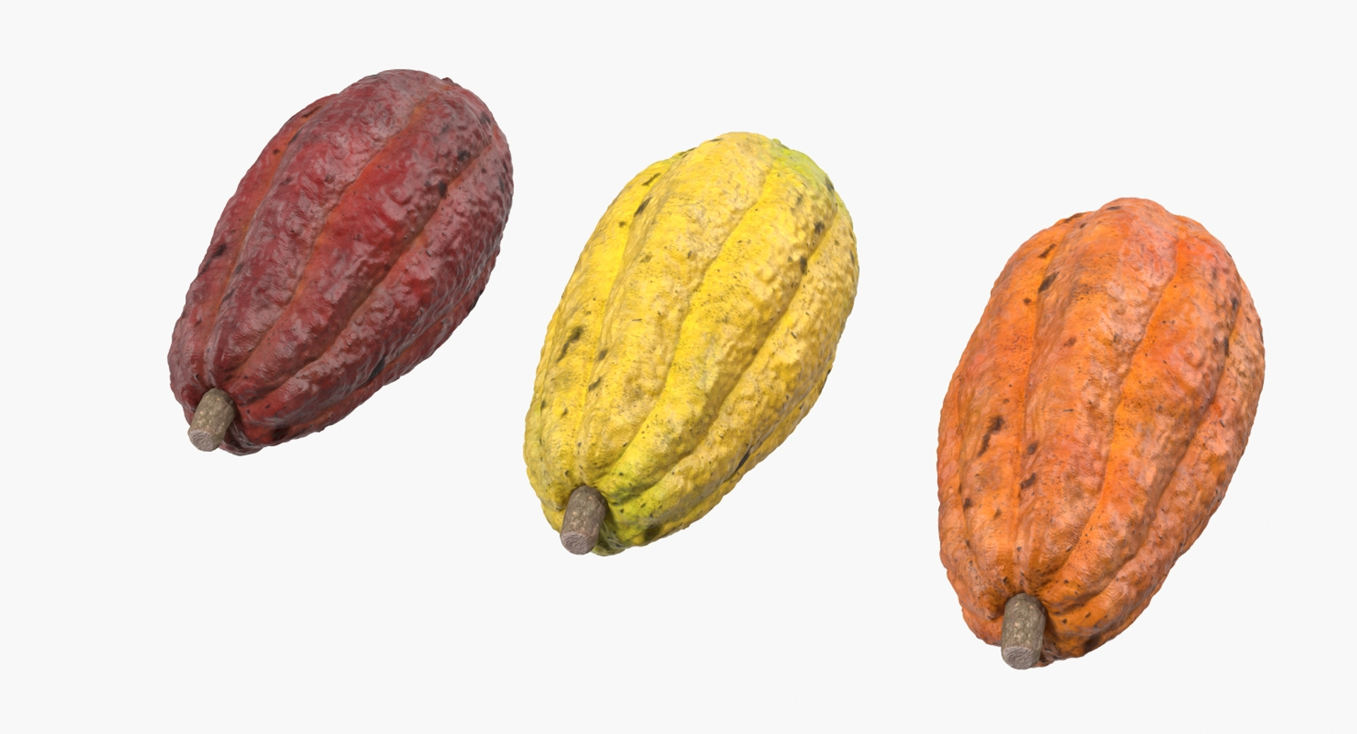 Cocoa Fruit Set 3D - TurboSquid 1373379