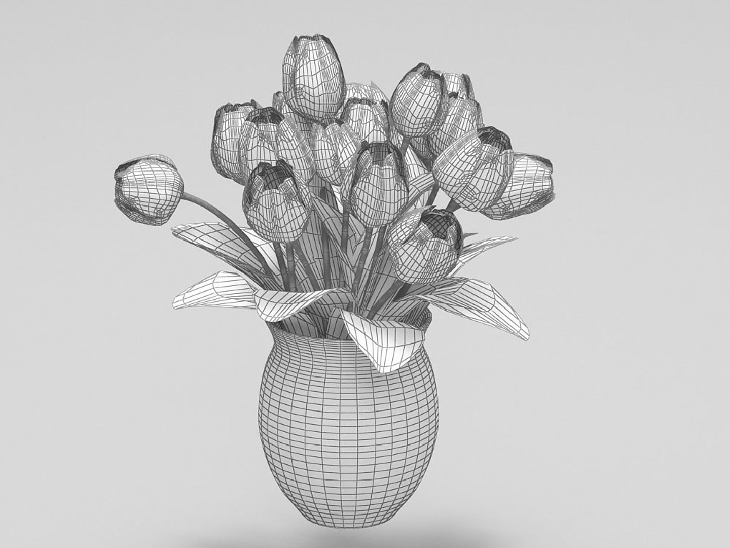 Realistic Tulips 3d Max